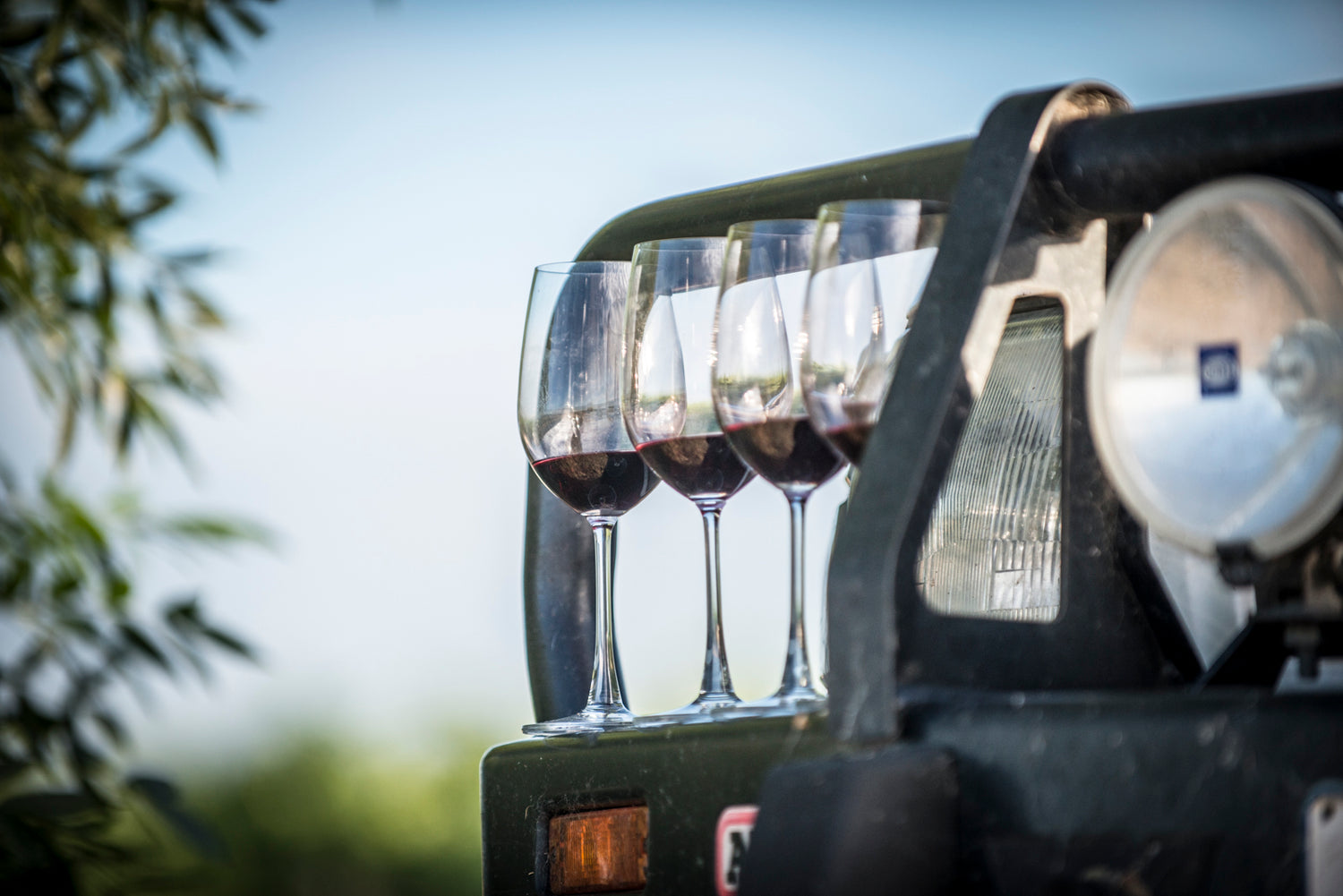 Our Story | Copperhead Wines | Yarra Valley | Boutique cool climate ...