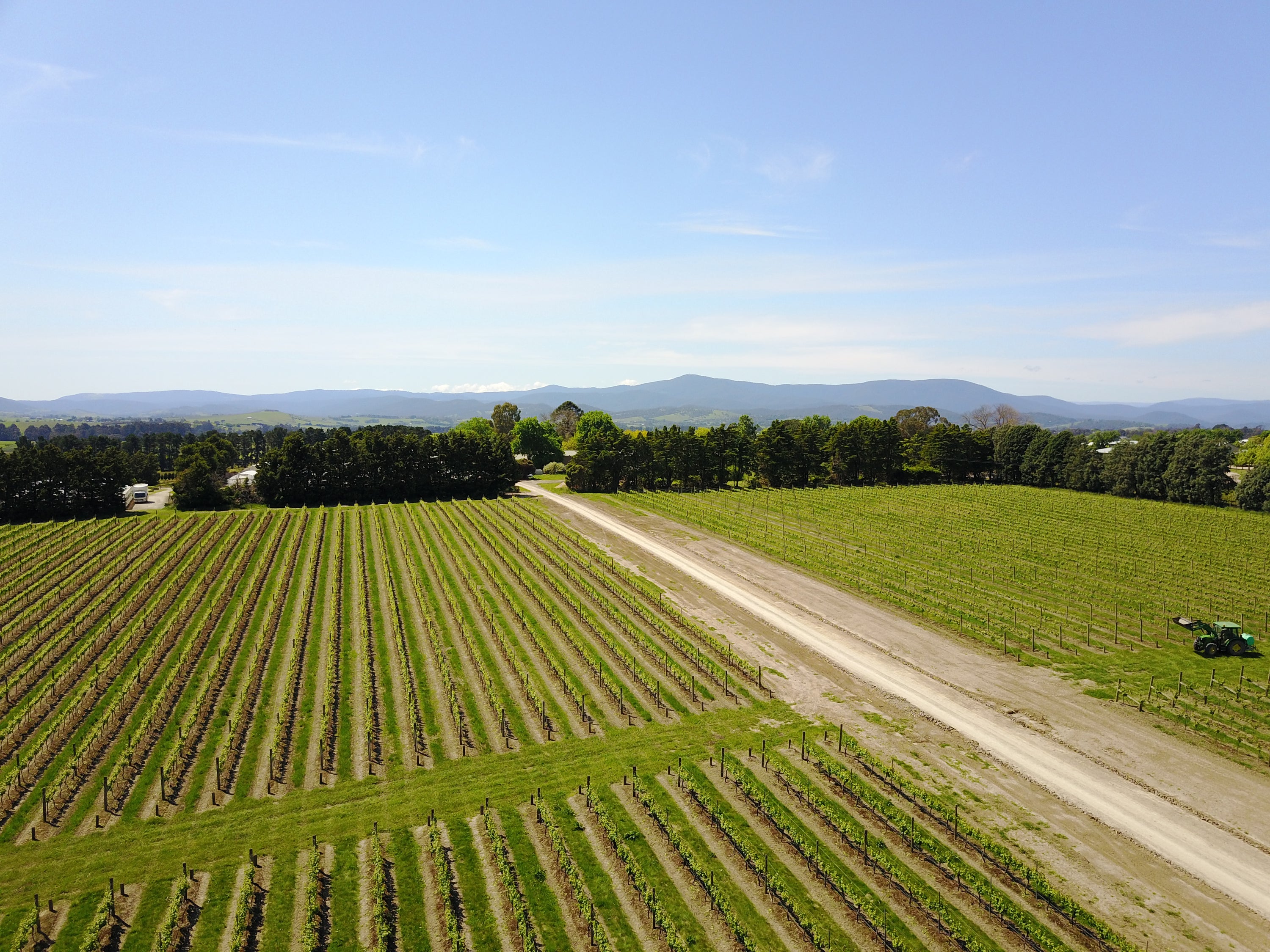 Copperhead Wines | Yarra Valley | Boutique cool climate wine producer